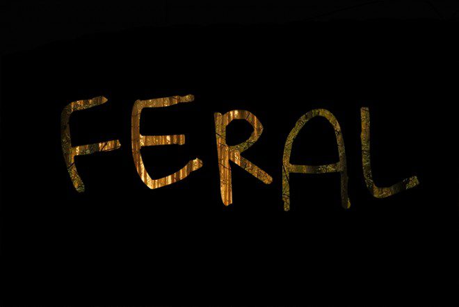 Feral_Logo_Blk – Auditions Free