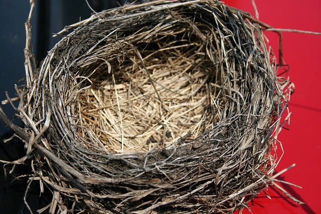 TV Show – Are You an Empty Nester Doing Something New?