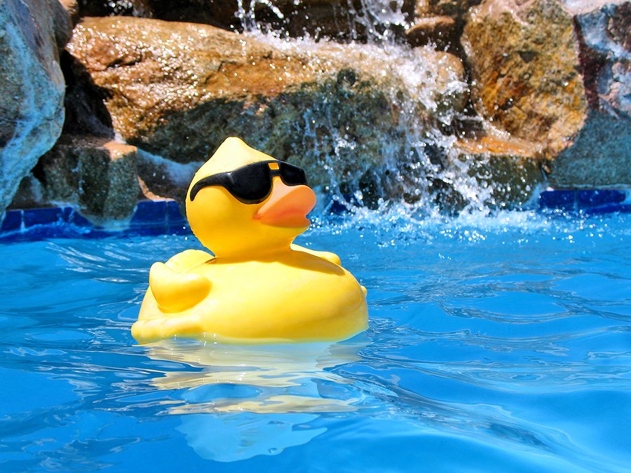 Acting Job, Auditions in San Diego for Show Host at Water Park