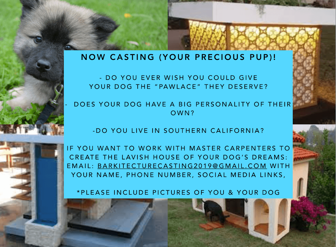 Casting Call for Dogs in Los Angeles for Dog House Show – Auditions Free