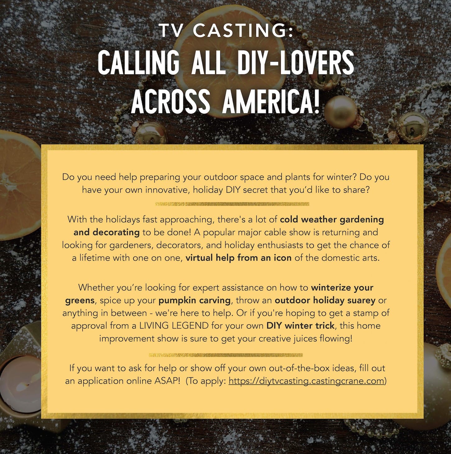 Casting People That Love DIY Projects for Holiday Home Improvement Show