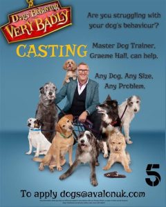 UK Auditions for Bad Dogs - Dogs Behaving Very Badly